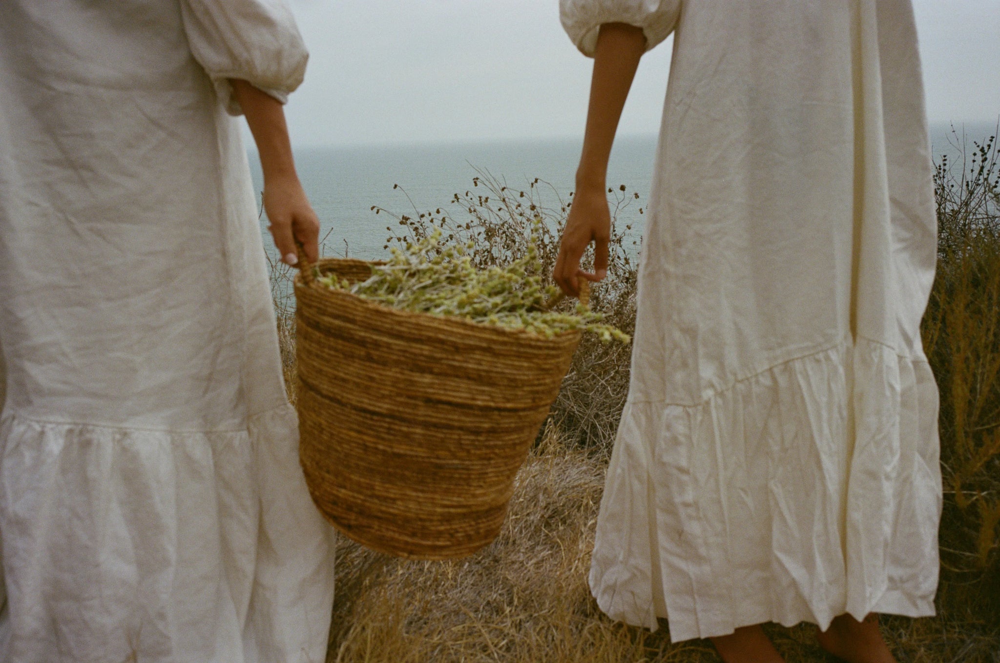 Learn more about Çaj Mali, Our "HERO" Ingredient & why it was used for